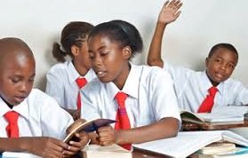 Home - The best online school