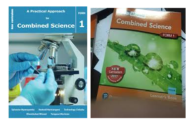 Form 1 - The best online school